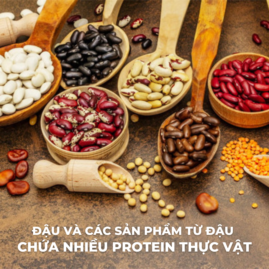 Danh sách thực phẩm giàu protein thực vật tốt nhất - Công ty Happymore