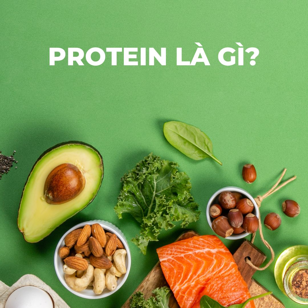 Protein là gì? Tầm quan trọng của protein với sức khỏe - Công ty Happymore
