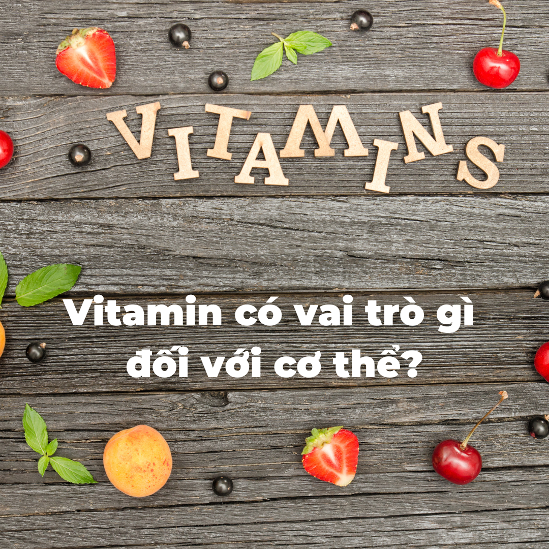 Vitamin có vai trò gì đối với cơ thể? - Công ty Happymore